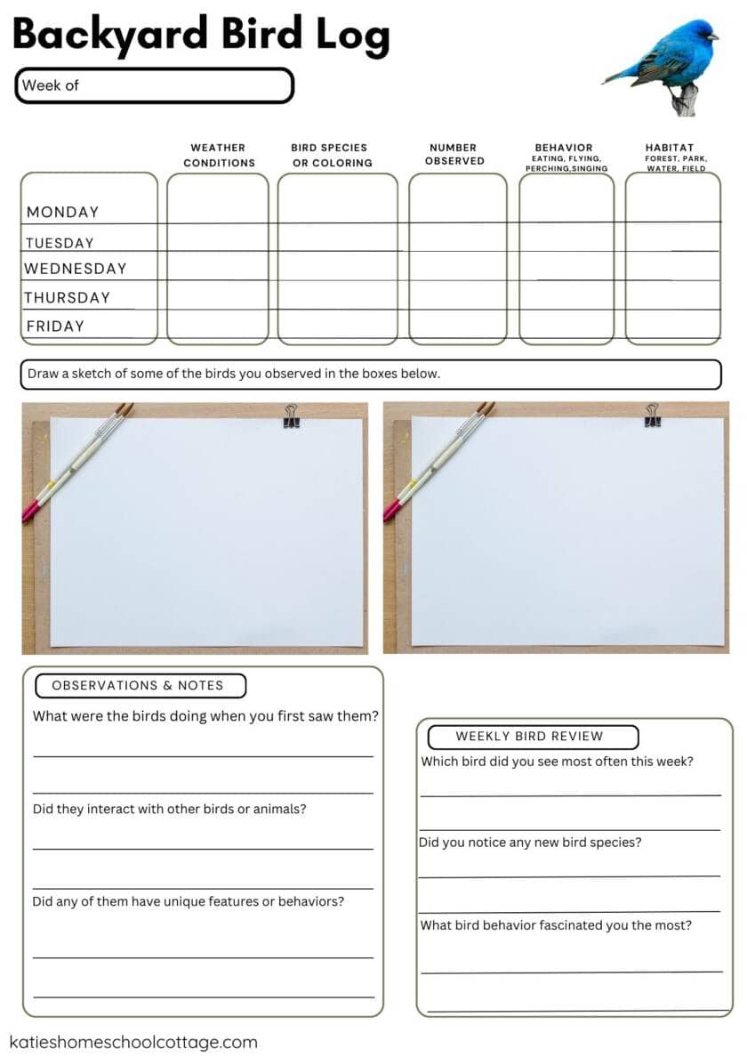 Nature Study Journal Pages Booklet