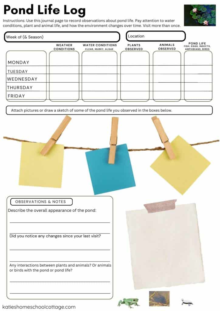 Nature Study Journal Pages Booklet